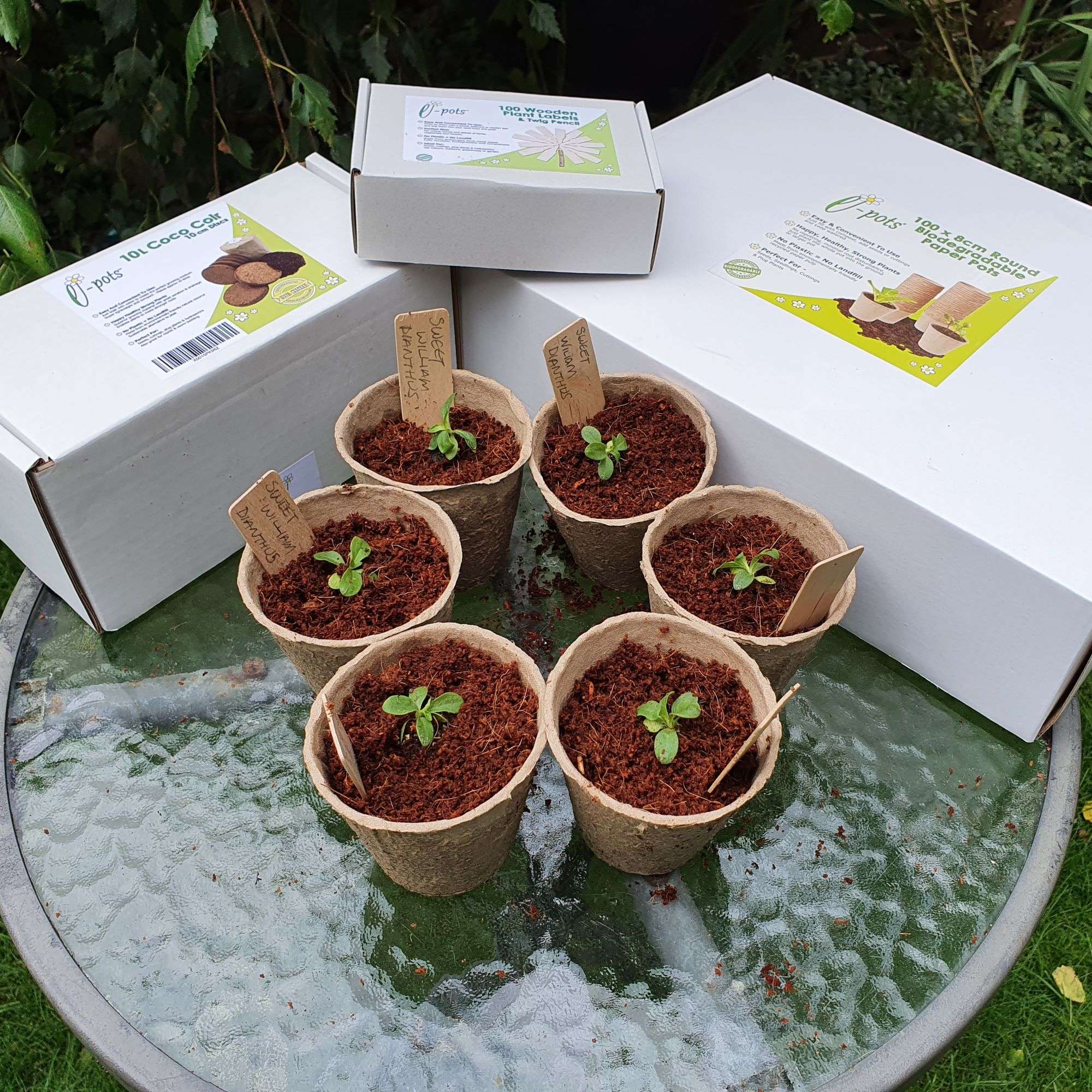 Potting Up Essentials Bundle Large - Pots, Labels, Soil - e-Pots