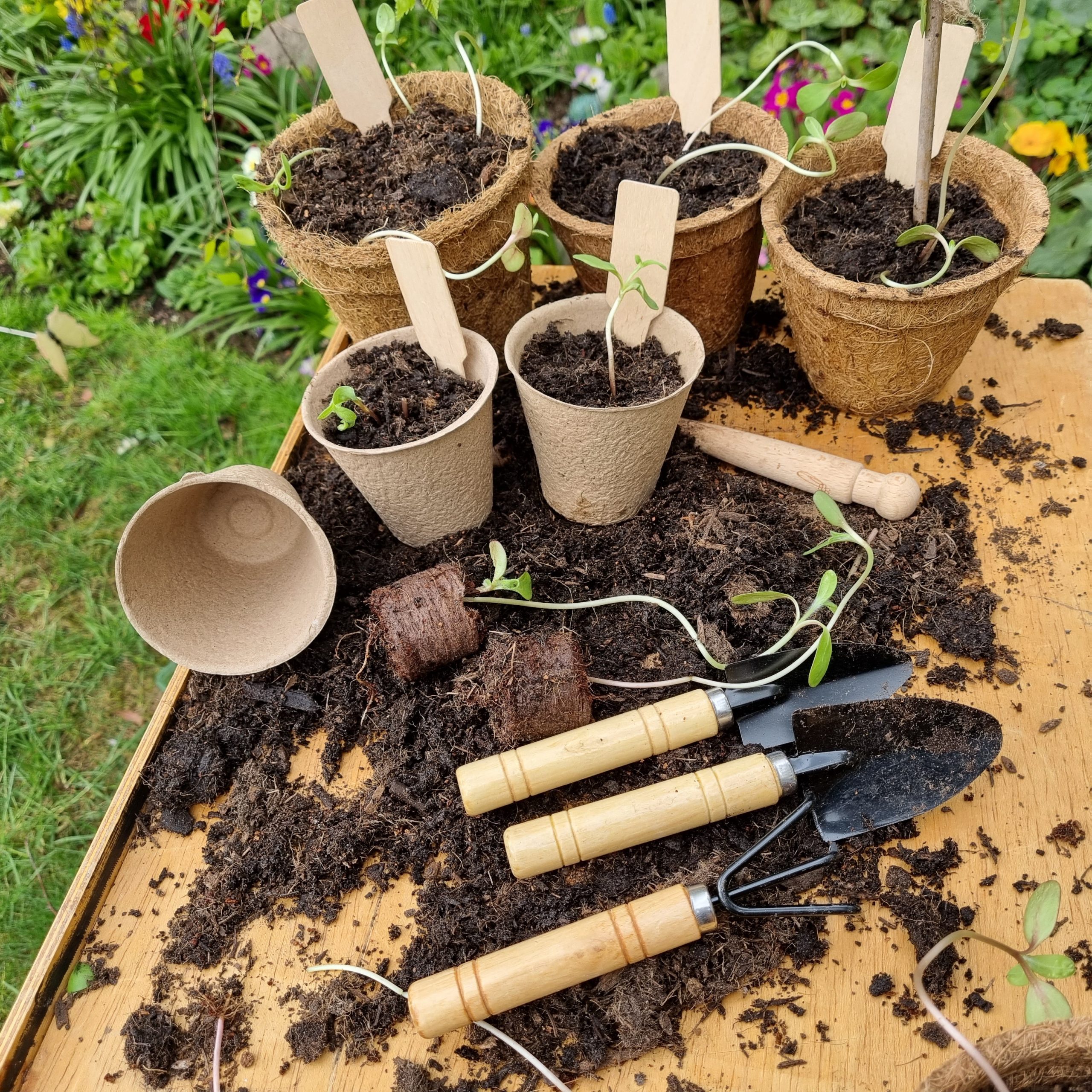 Biodegradable Plant Pots | 100 x 8cm