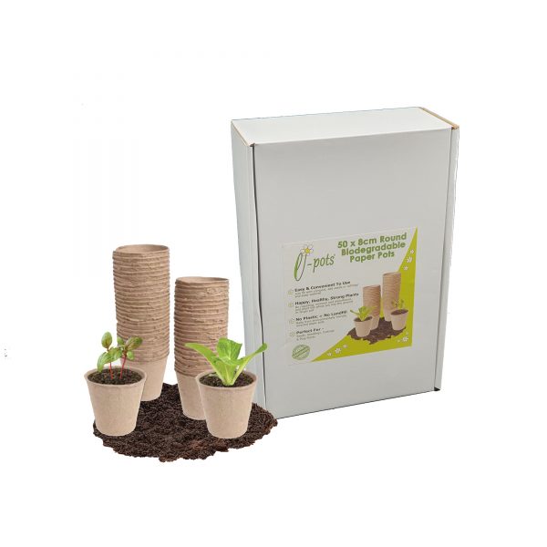 Biodegradable Seed Pots 50 x 8cm in Plastic Free Packaging - e-pots