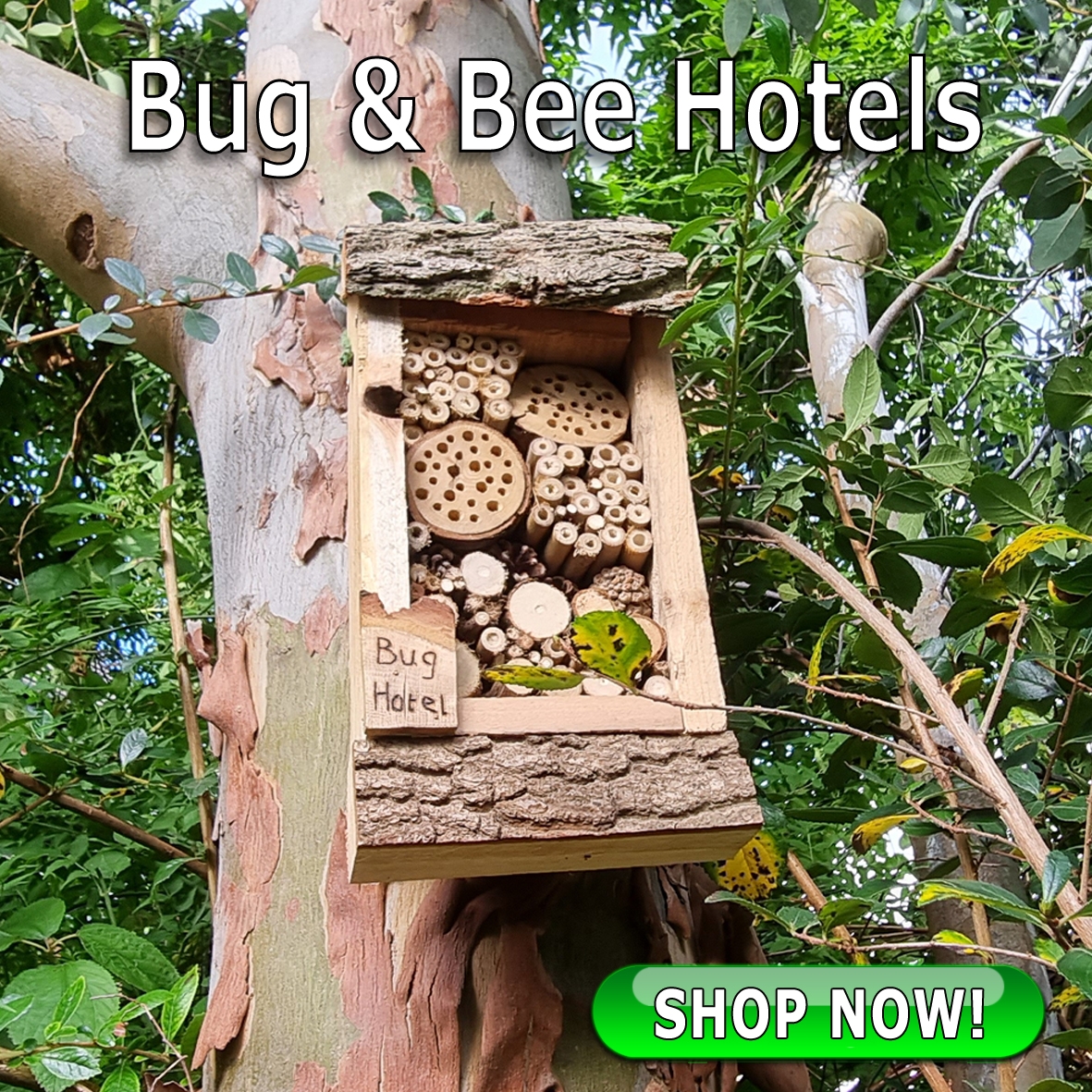 Shop Eco Plant Pots | E-Pots | 100% Natural Pots and Accessories