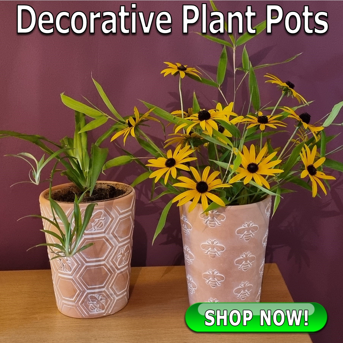 Plastic Free Gardening with e-pots -100% Natural Eco-Gardening