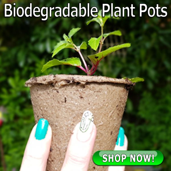 Plastic Free Gardening with e-pots -100% Natural Eco-Gardening