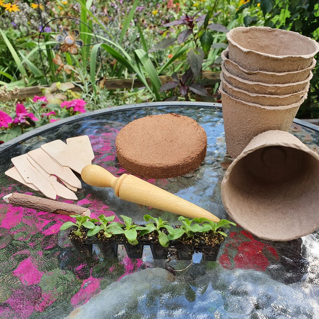 Biodegradable Plant Pots | 100 x 8cm