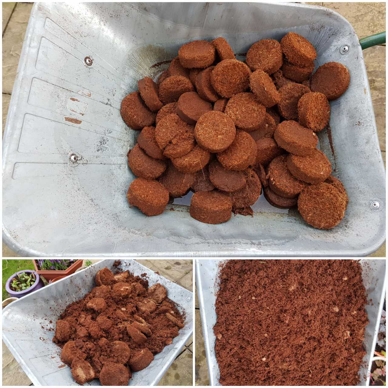 Bulk Buy Coco Coir Compost Discs - e-pots