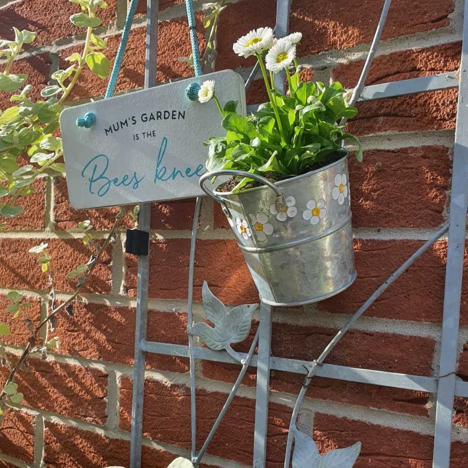 Metal Daisy Planters Bucket Style Set of 4 - e-Pots