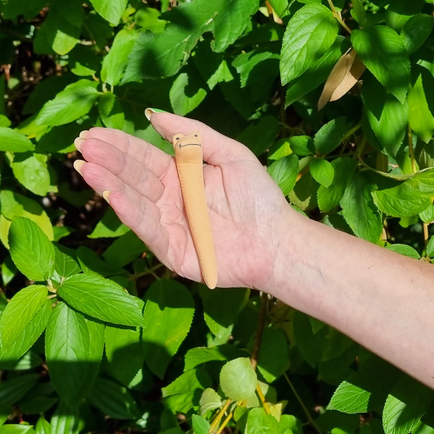 Willy Worm Water Sensor - Mini | Lets You Know When Plants Need ...