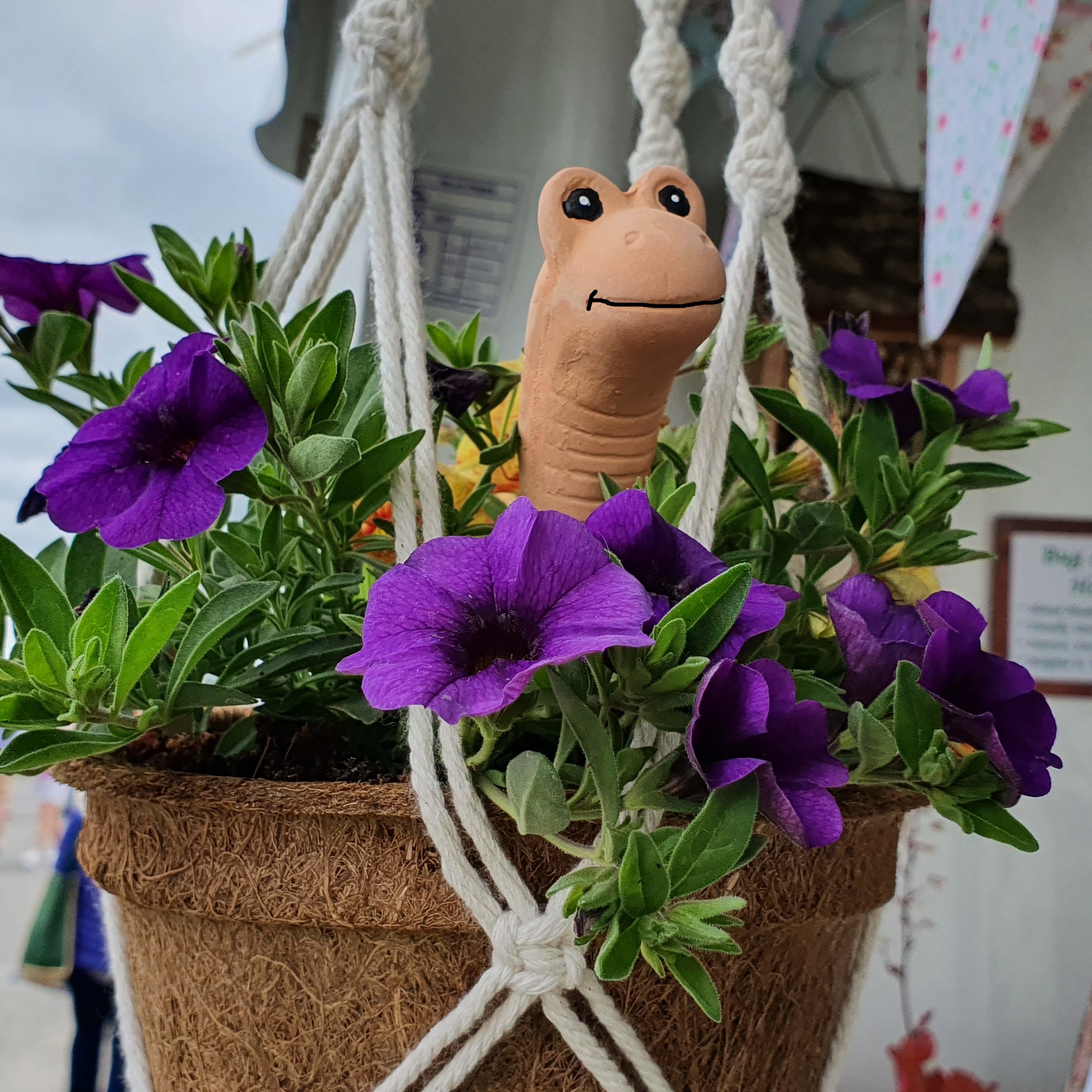 Willy Worm Water Sensor - Large - Fun, Practical, Giftable - e-Pots